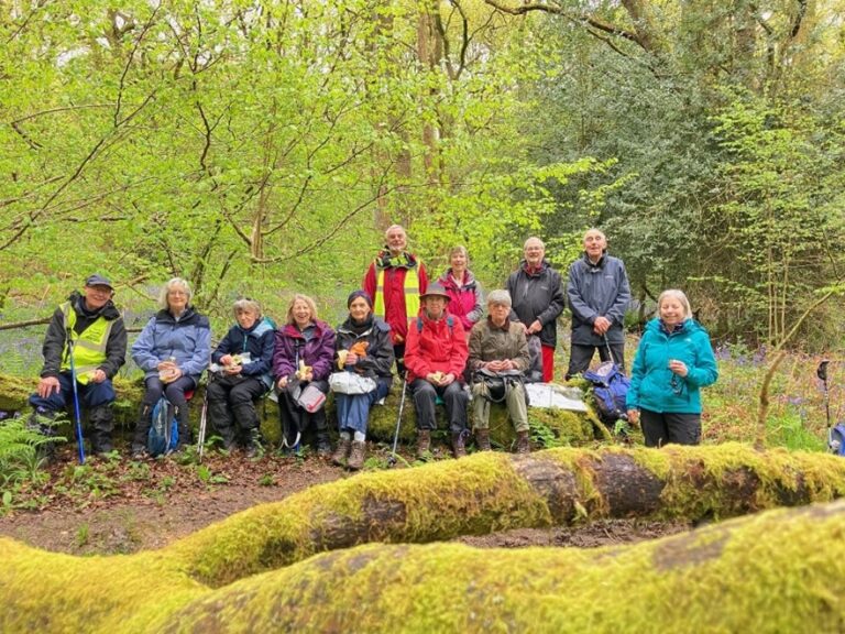 Fleet and District u3a